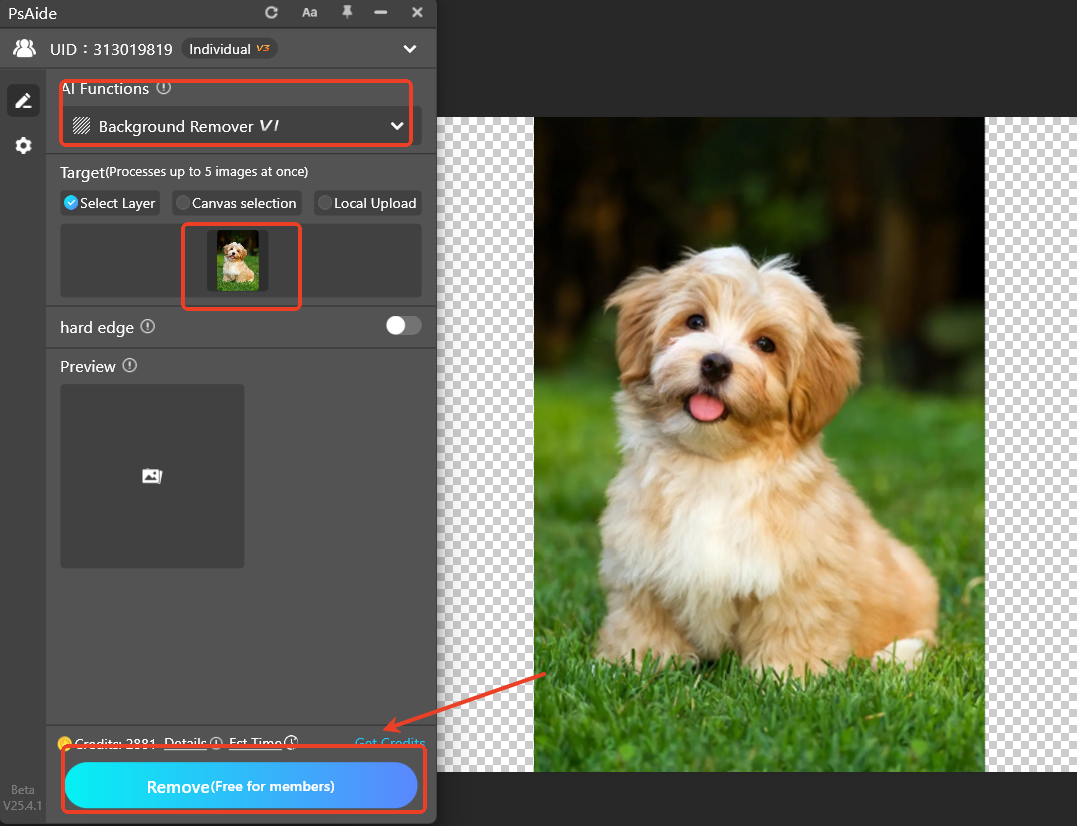 Photoshop Hair Cutout Techniques: Perfect Dog Photo Background Remover ...
